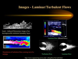 viscous laminar fluid flow through pipes | PPT