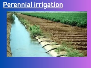 FLOW IRRIGATION-WPS Office.pptx_20240123_222322_0000.pdf