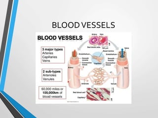 Flow measurement in Blood flow | PPTX