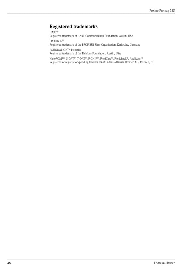 Flowmeter Promag 55S-Electromagnetic-Endress Hauser | PDF