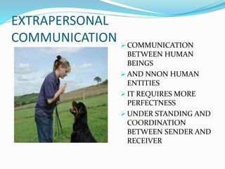 Flow of Communication | PPTX