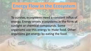 flow of energy.pptx Environmental science | PPTX