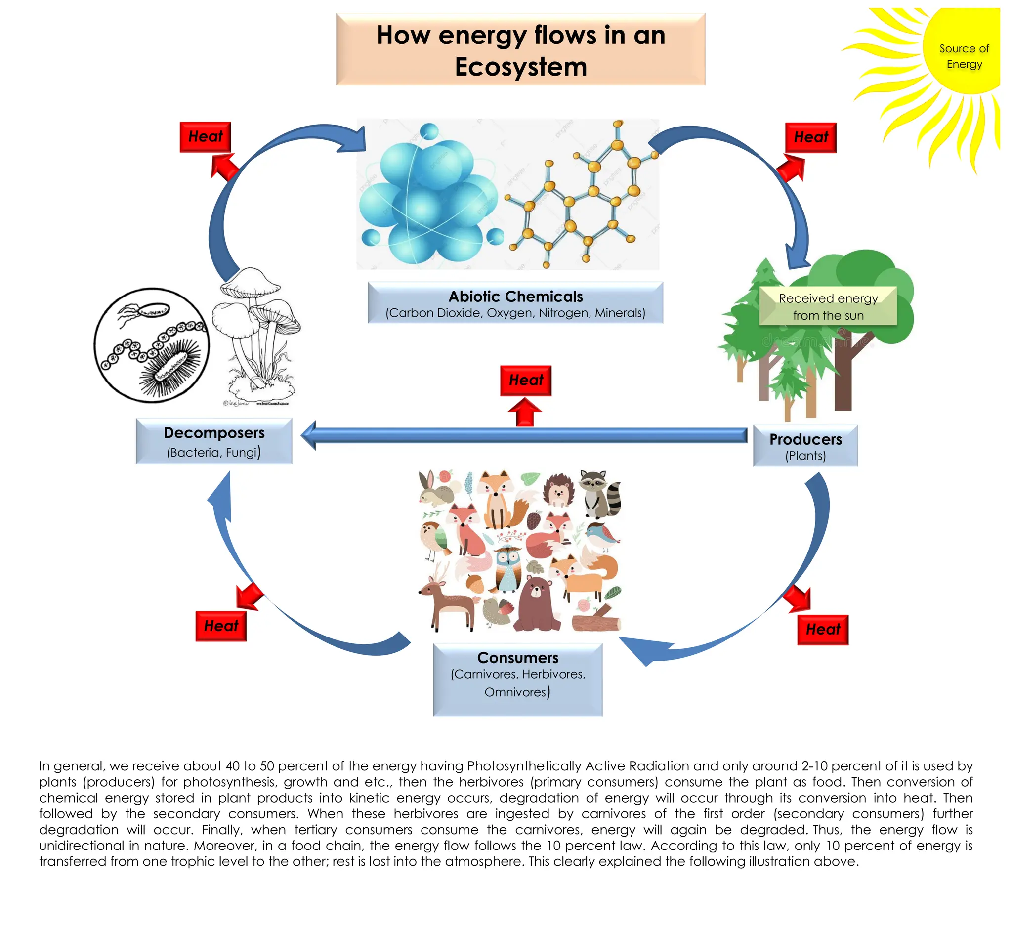 Flow of Energy.........................................pdf