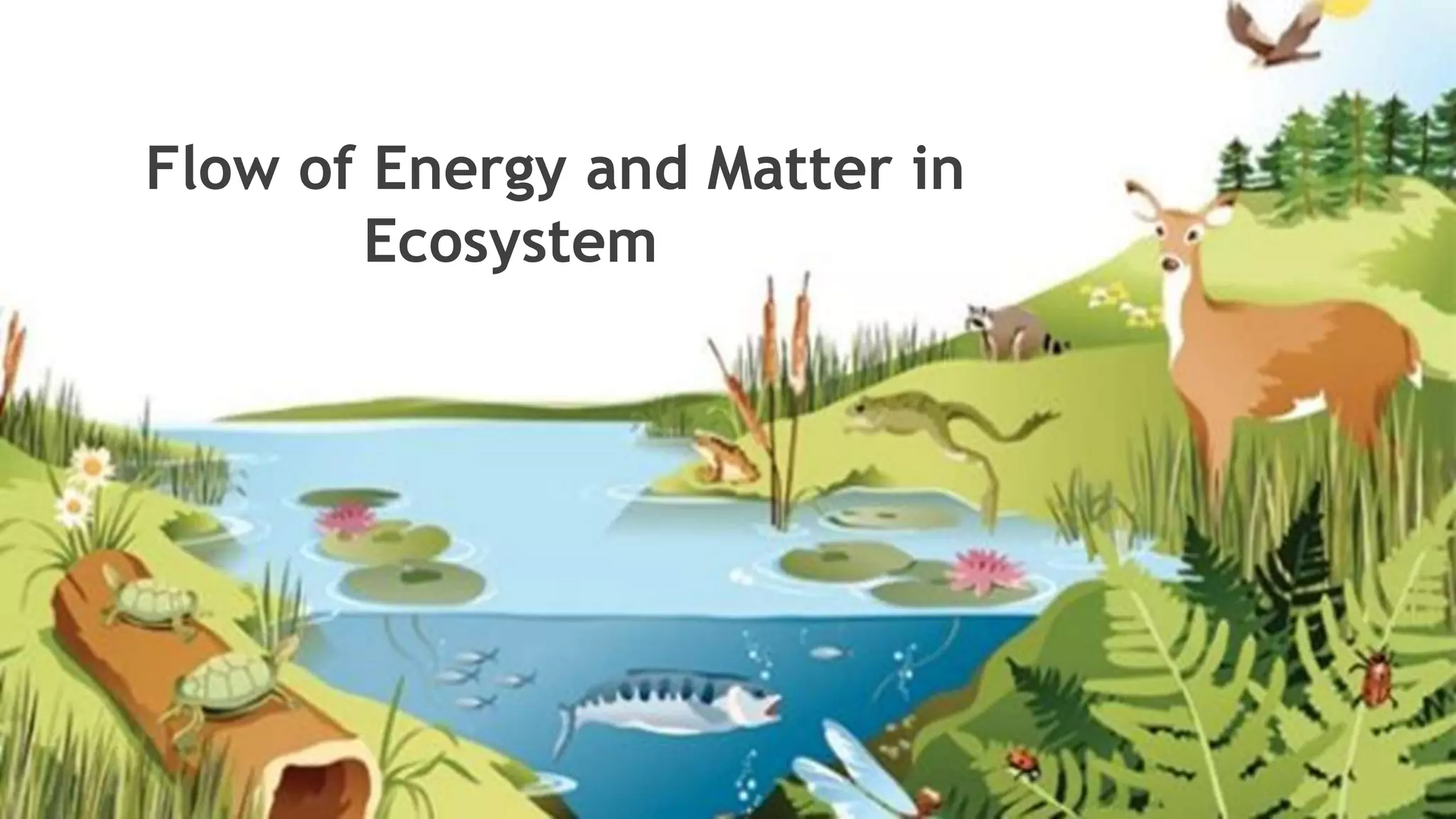Flow of Energy and Matter in the Ecosystem | PPTX