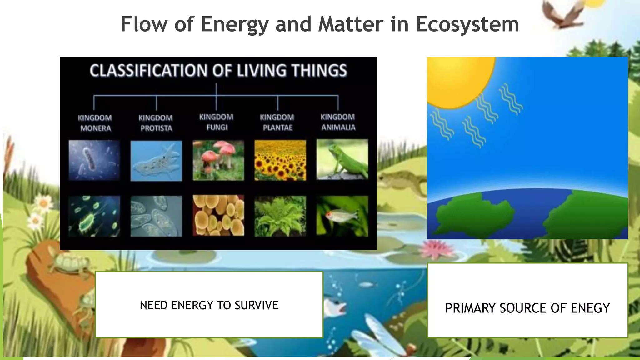 Flow of Energy and Matter in the Ecosystem | PPTX