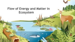 Flow of Energy and Matter in the Ecosystem | PPTX