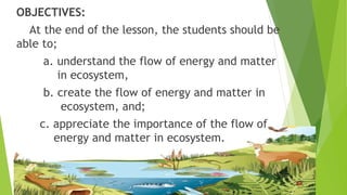 Flow of Energy and Matter in the Ecosystem | PPTX
