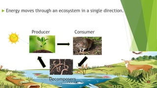Flow of Energy and Matter in the Ecosystem | PPTX