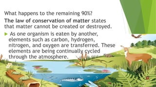 Flow of Energy and Matter in the Ecosystem | PPTX