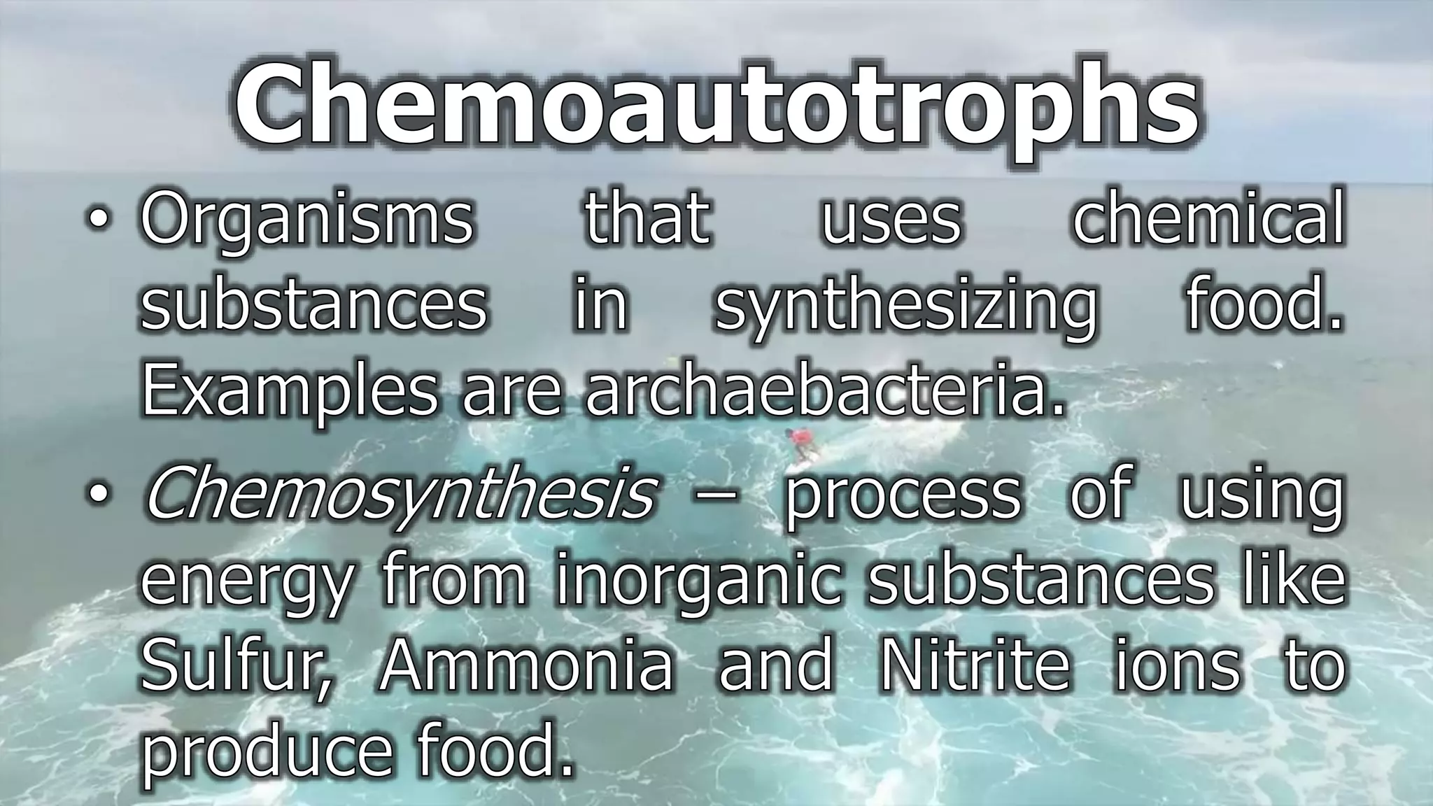 Flow of Energy and Matter in Ecosystems | PPTX