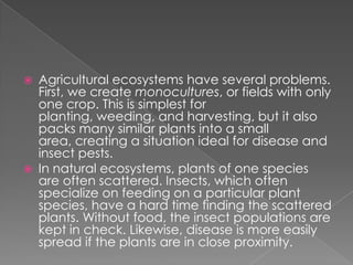 Flow of energy in an ecosystem | PPTX