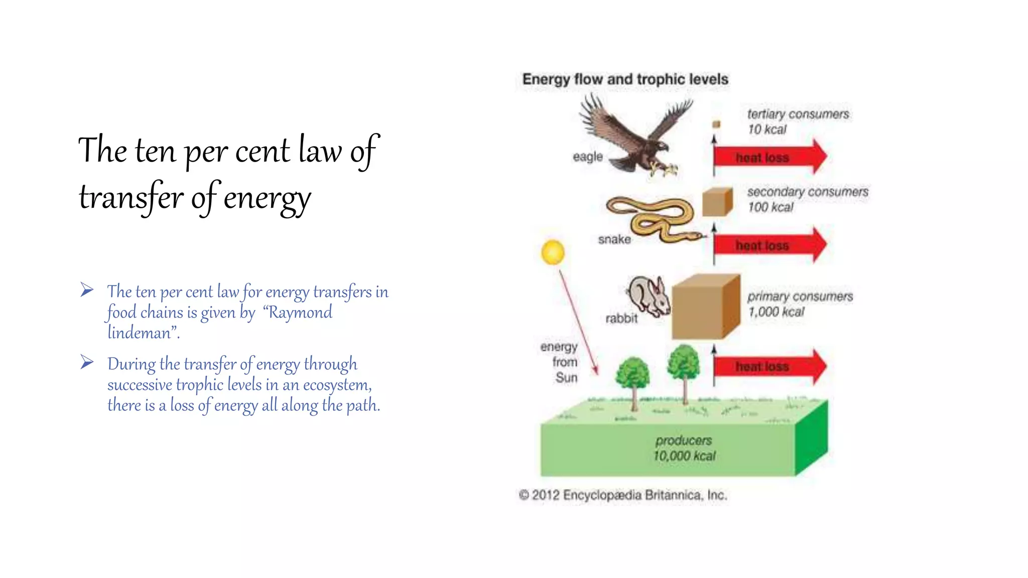 Flow of energy in an ecosystem.pptx