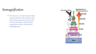 Flow of energy in an ecosystem.pptx