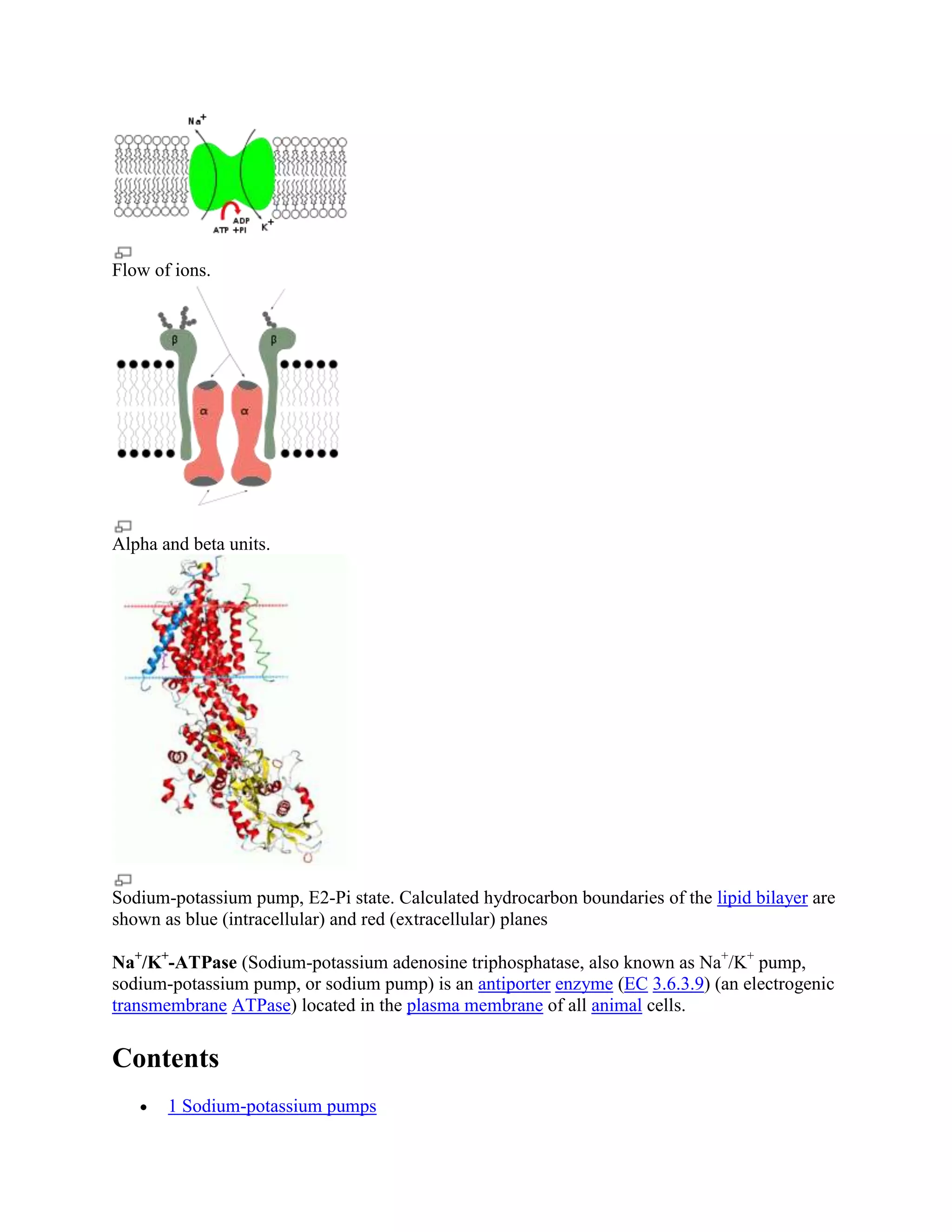 Flow of ions | PDF