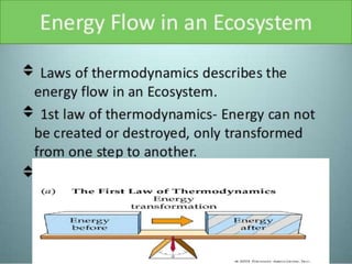 Flow of materials and energy in ecosystem 9th class | PPTX