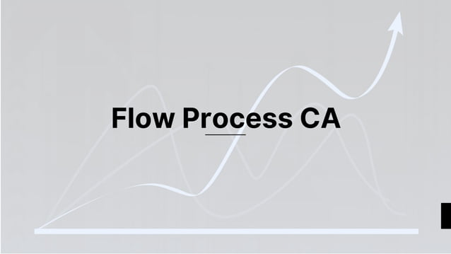 Flow process .pptx