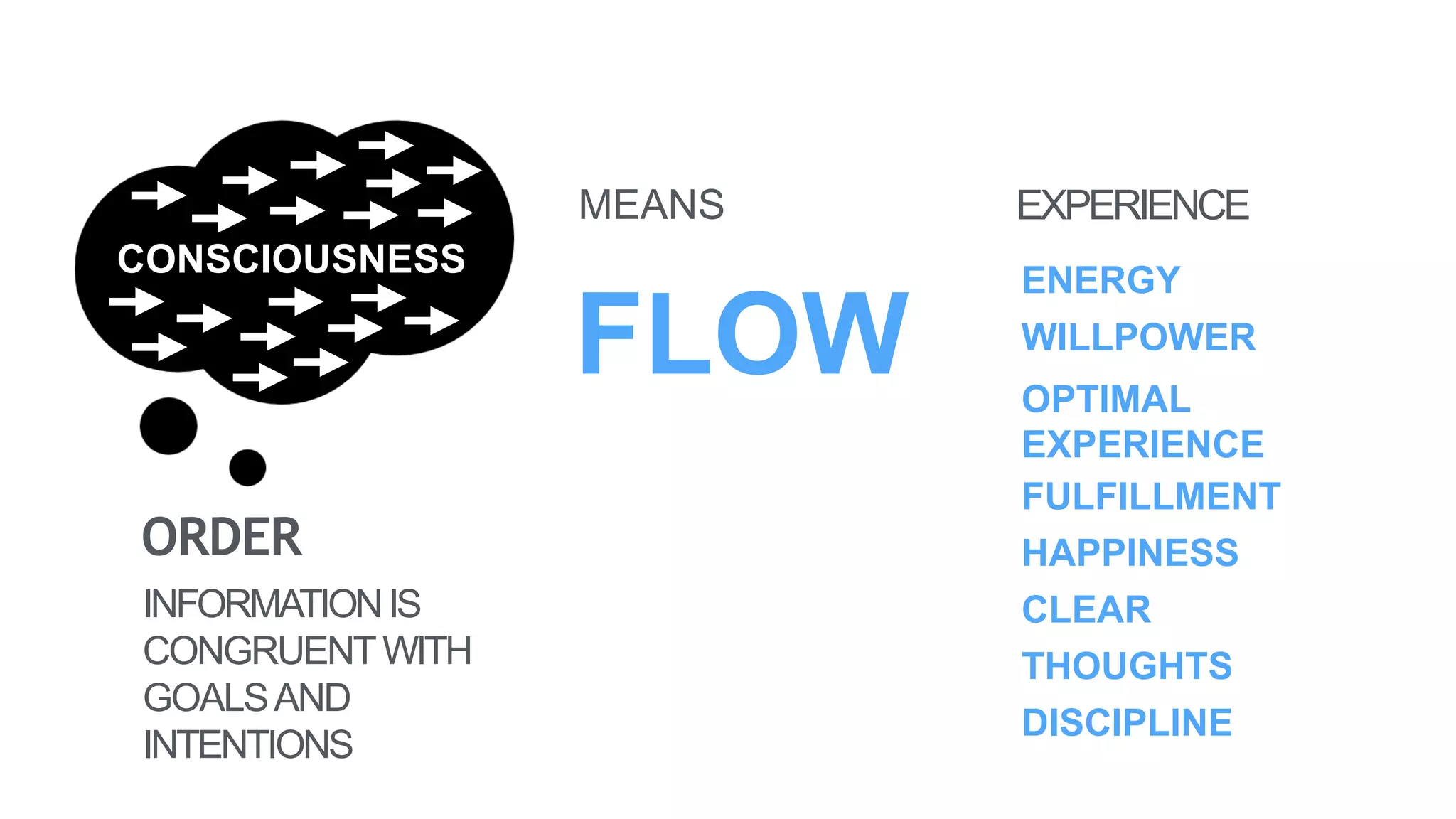 Mihaly Csikszentmihalyi's Flow theory explained by S. Lakshmanan ...