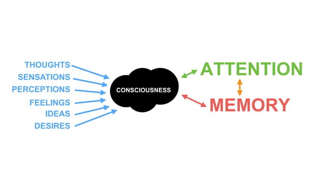 Mihaly Csikszentmihalyi's Flow theory explained by S. Lakshmanan ...