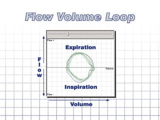 Flow volume loop quick loop guide | PPT