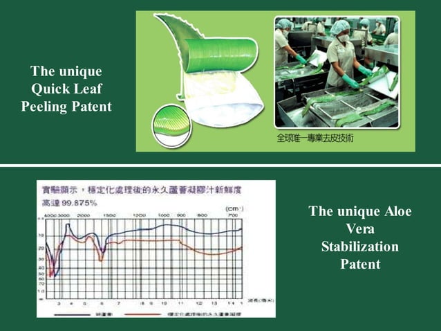 Flp business plan | PPT