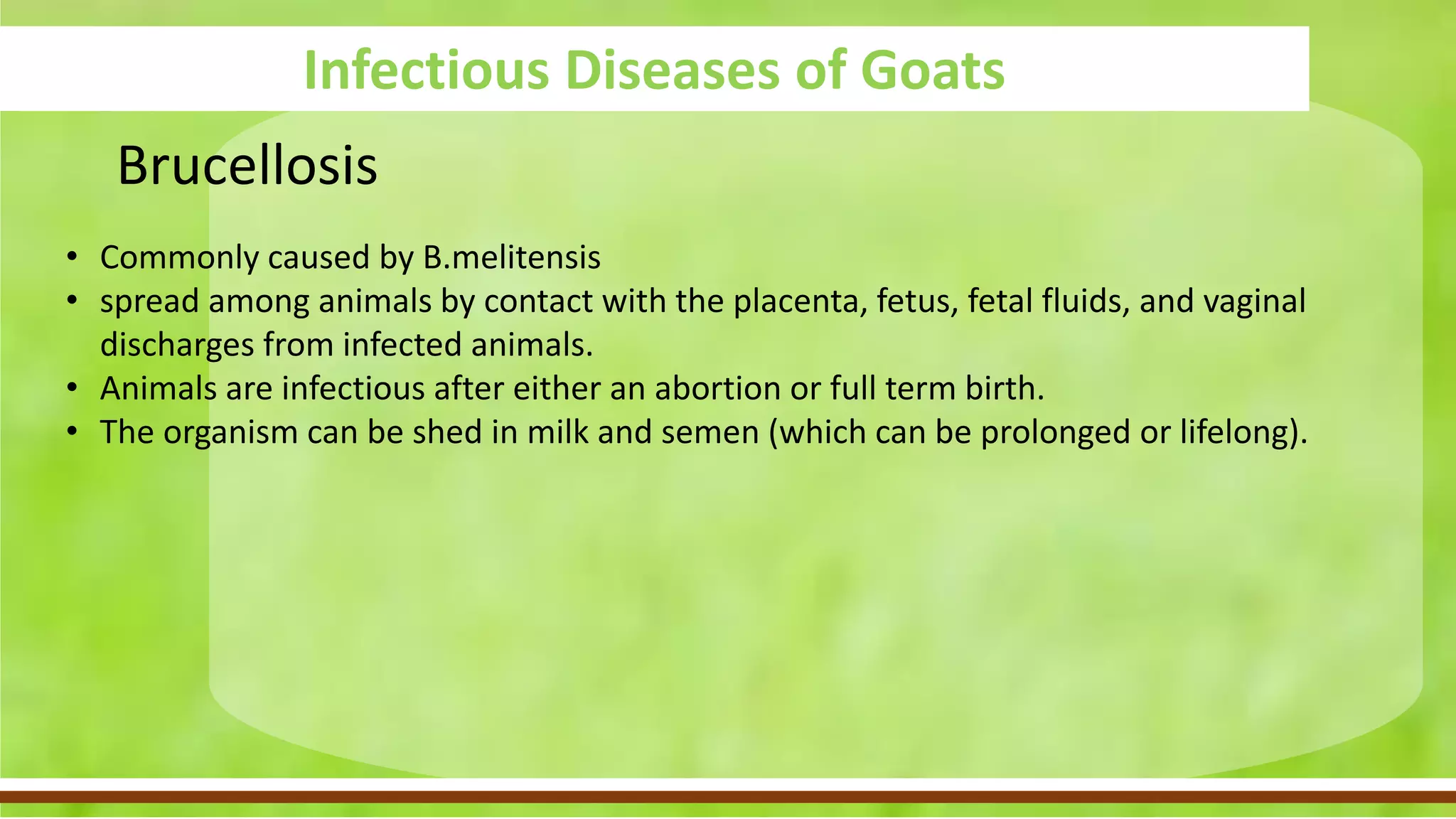 FLS-goat 2019-diseases of goats.pptx