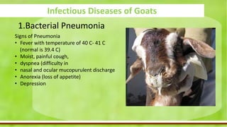 FLS-goat 2019-diseases of goats.pptx