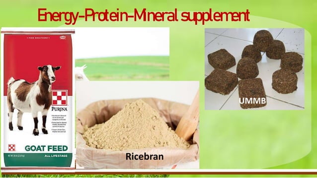 FLS-goat 2019- module 8.pptx