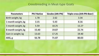 FLS-goat 2019.Goat Breeds and Breeding.pptx