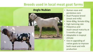 FLS-goat 2019.Goat Breeds and Breeding.pptx
