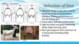 FLS3- goat breeding.pptx