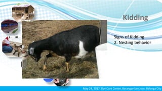 FLS3- goat breeding.pptx