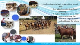 FLS3- goat breeding.pptx