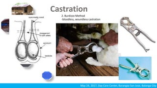 FLS3-kid management.pptx