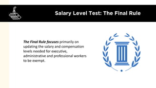 FLSA Exemptions Explained: Non-Exempt vs. Exempt Workers | PDF