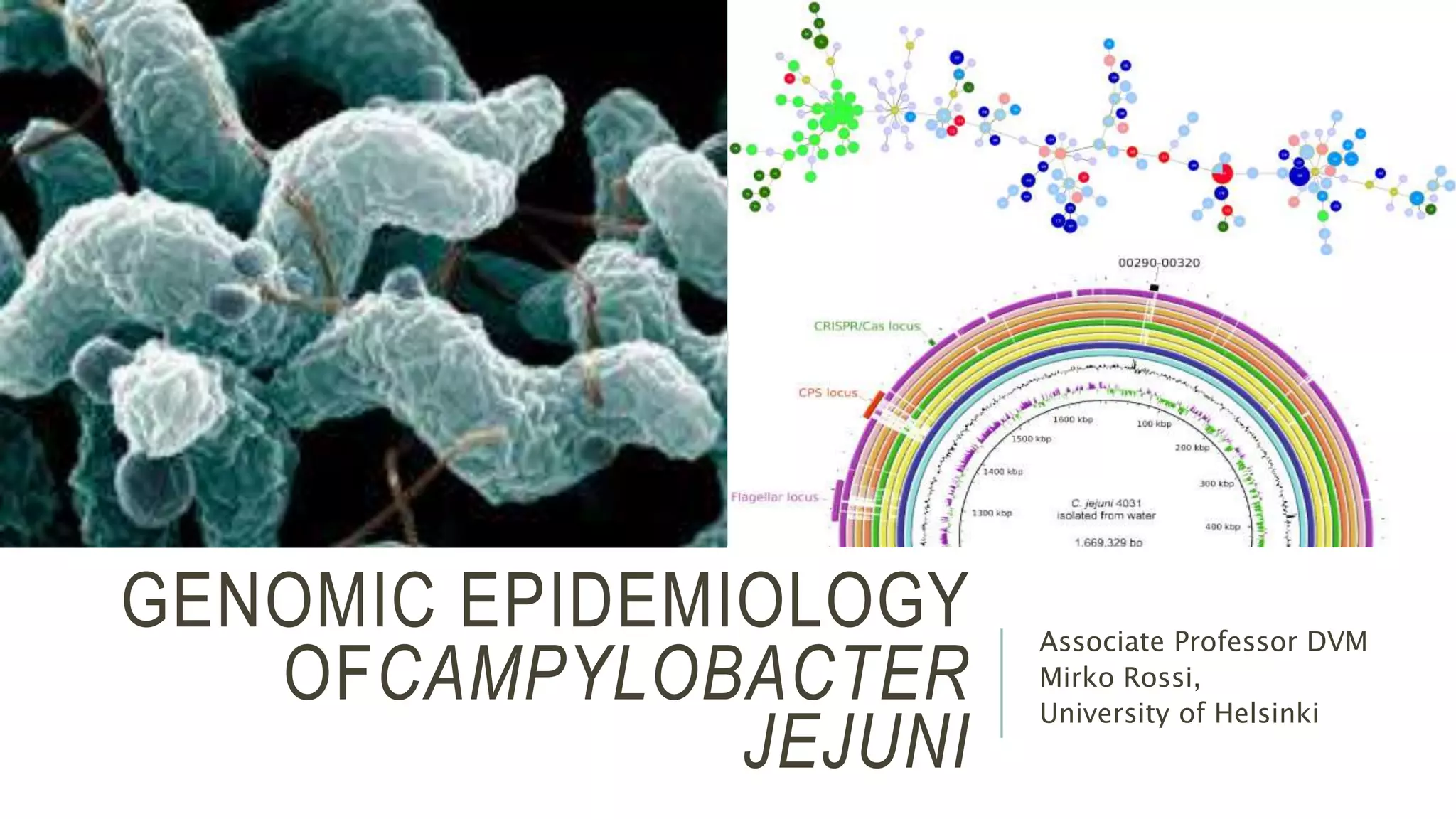 Genomic epidemiology of Campylobacter jejuni | PPTX | Digestive ...