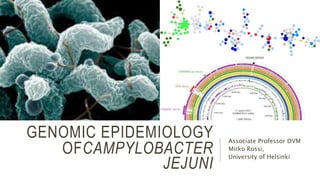Genomic epidemiology of Campylobacter jejuni | PPTX | Digestive ...