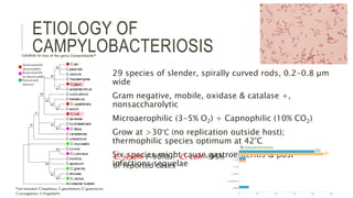 Genomic epidemiology of Campylobacter jejuni | PPTX | Digestive ...