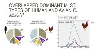 Genomic epidemiology of Campylobacter jejuni | PPTX | Digestive Disorders | Diseases and Conditions