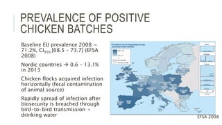 Genomic epidemiology of Campylobacter jejuni | PPTX | Digestive Disorders | Diseases and Conditions