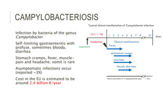Genomic epidemiology of Campylobacter jejuni | PPTX | Digestive Disorders | Diseases and Conditions