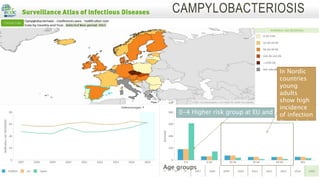 Genomic epidemiology of Campylobacter jejuni | PPTX | Digestive Disorders | Diseases and Conditions