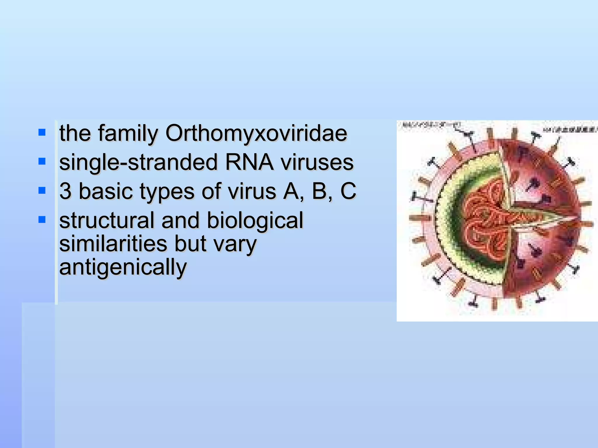 Influenza | PPT