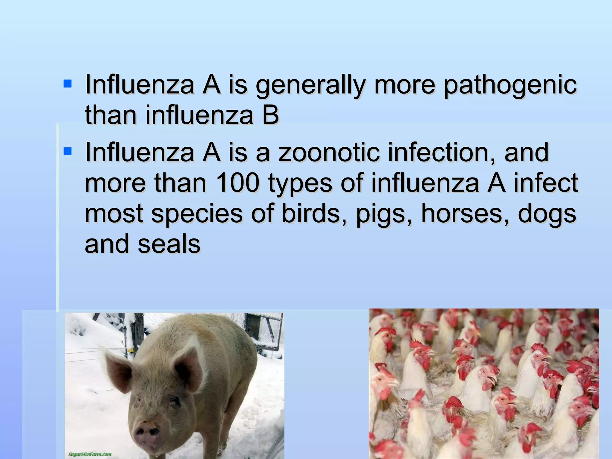 Influenza | PPT