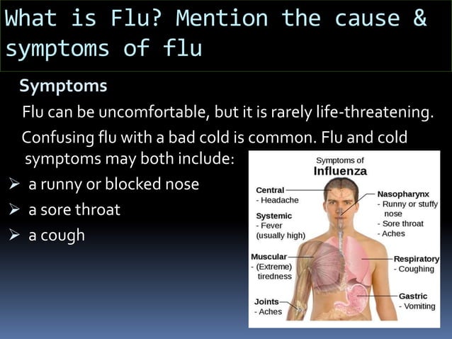 Flu | PPT
