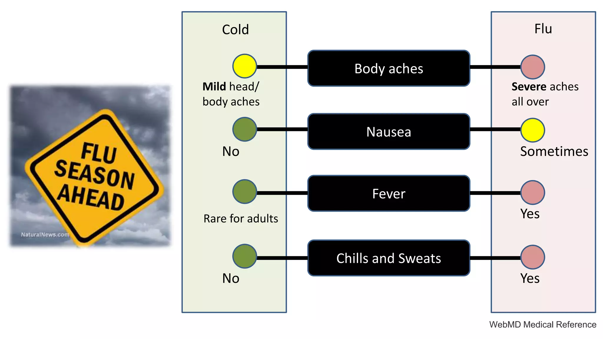 Common Cold vs Influenza | PPTX
