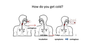 Common Cold vs Influenza | PPTX