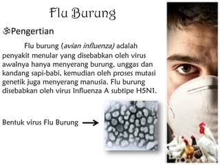 Flu babi & flu burung | PDF