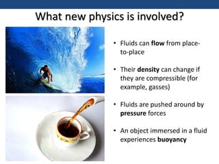 Fluid | PPT