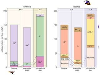 Fluid and-electrolyte report | PPT