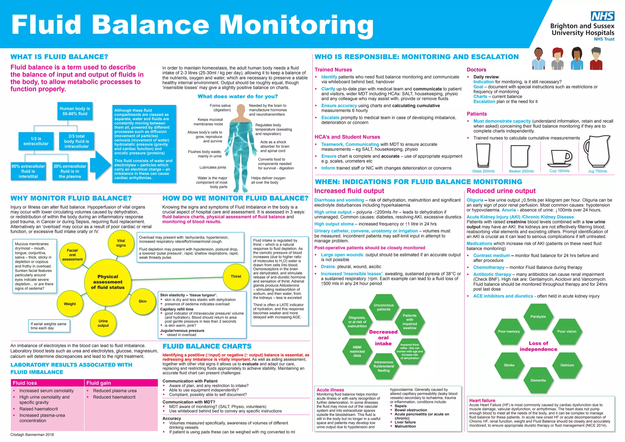 Fluid-Balance-Monitoring-Poster.pdf